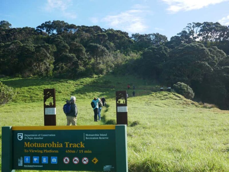 From Paihia: Scenic Cruise with Roberton Island Stopover - Who Will Love This Tour?