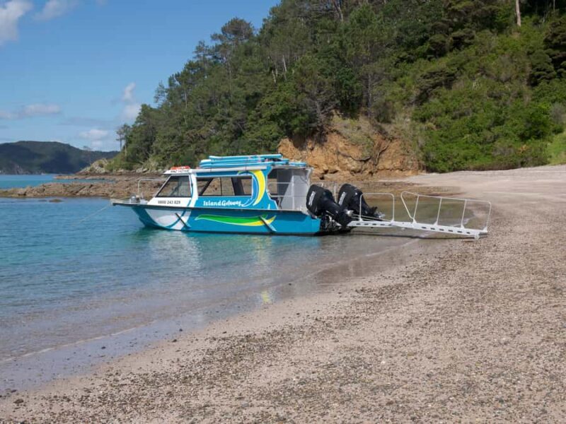 From Paihia: Scenic Cruise with Roberton Island Stopover - The Sum Up: Why This Tour Is Worth Considering
