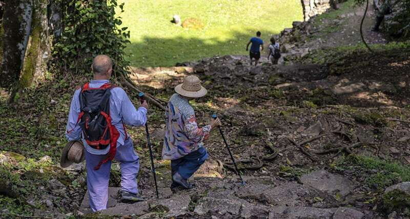 From Palenque: Bonampak & Yaxchilán - Authentic Insights from Reviewers