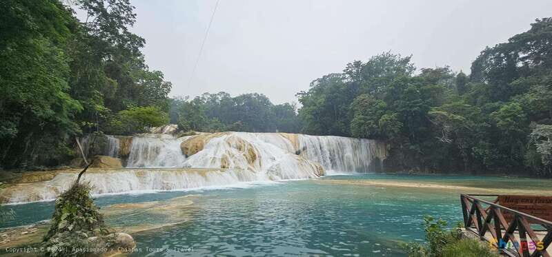 From Palenque: Misol-Ha & Agua Azul Waterfalls Day Tour - Authentic Experience & Practical Tips