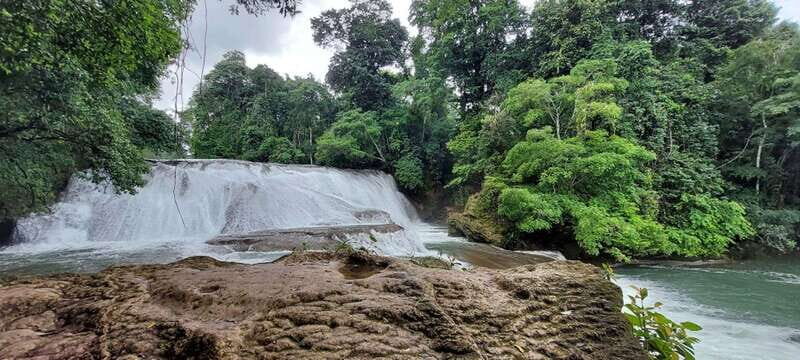 From Palenque: Palenque and Roberto Barrios Waterfalls Tour - Discovering Palenque and Roberto Barrios Waterfalls: A Detailed Review