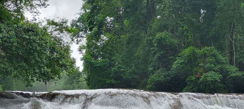 From Palenque: Palenque and Roberto Barrios Waterfalls Tour - Key Points