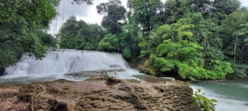 From Palenque: Palenque and Roberto Barrios Waterfalls Tour - Who Should Book This Tour?