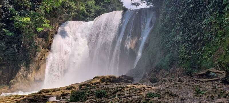 From Palenque: Roberto Barrios and El Salto Waterfalls Tour - Exploring the Itinerary in Detail