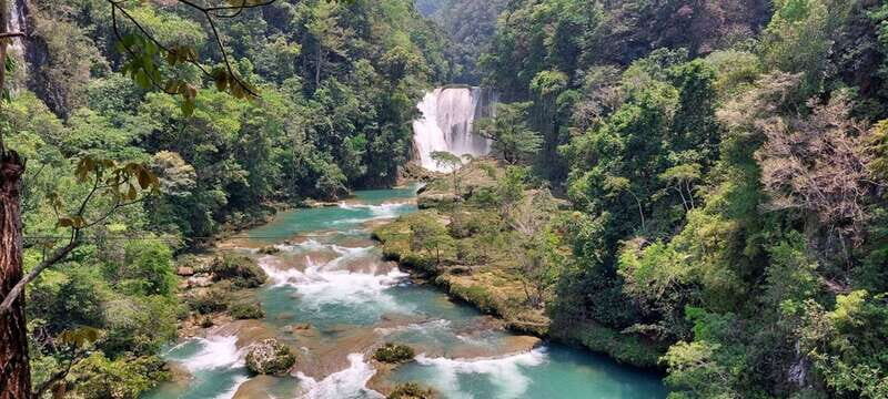 From Palenque: Roberto Barrios and El Salto Waterfalls Tour - Authentic Experiences and Additional Insights