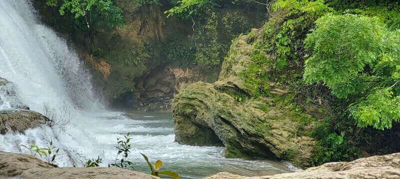 From Palenque: Roberto Barrios and El Salto Waterfalls Tour - Frequently Asked Questions