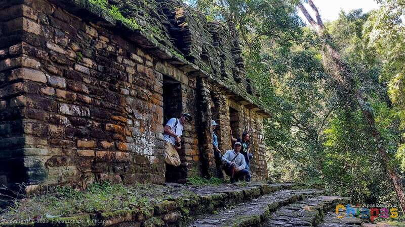 From Palenque: Yaxchilán and Bonampak Tour - The Review from Travelers