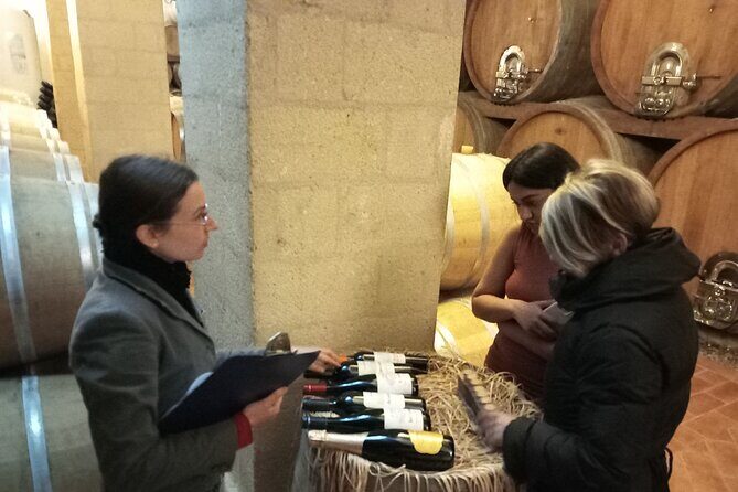 From Palermo Sicilian Retreat Erice & Marsala Tour with Lunch - Potential Drawbacks & Considerations