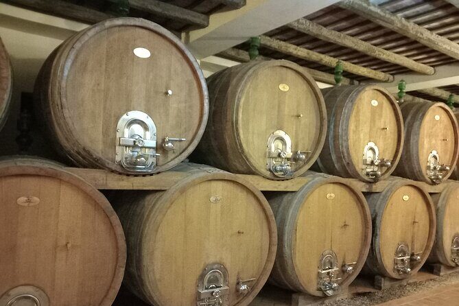 From Palermo Sicilian Retreat Erice & Marsala Tour with Lunch - Final Thoughts