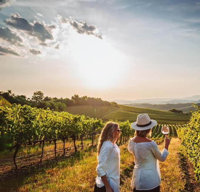 From Palma de Mallorca: Private Wine and Local Flavors Tour - Why This Tour Offers Real Value