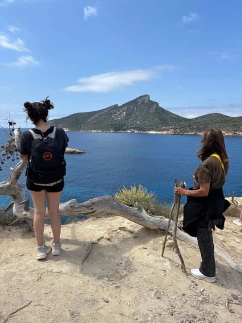 From Palma: Sierra de Tramuntana Hiking with small Picnic - FAQs