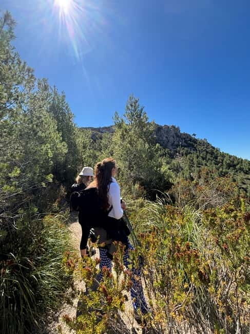 From Palma: Sierra de Tramuntana Hiking with small Picnic - In The Sum Up