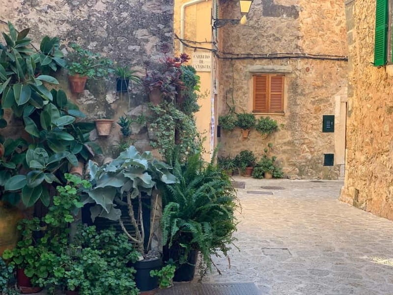 From Palma: Valldemossa Tour and Mountain Viewpoint Hike - Key Points