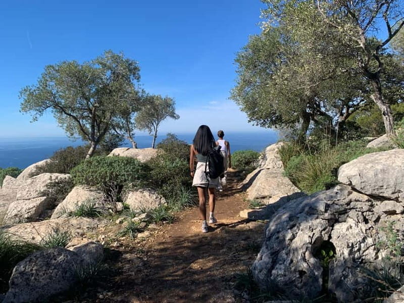 From Palma: Valldemossa Tour and Mountain Viewpoint Hike - An In-Depth Look at the Valldemossa Mountain Viewpoint Hike