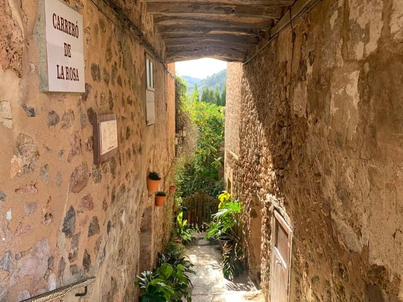 From Palma: Valldemossa Tour and Mountain Viewpoint Hike - FAQ