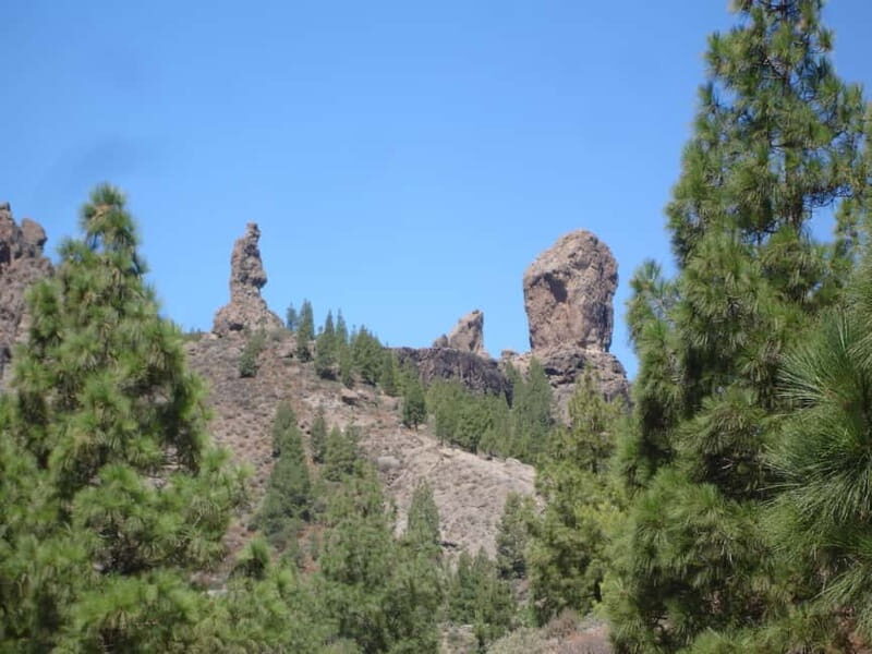 From Palmas: Pico de las Nieves & Roque Nublo Full-Day Trip - Exploring the Itinerary in Detail