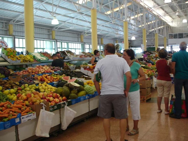 From Palmas: Pico de las Nieves & Roque Nublo Full-Day Trip - FAQs