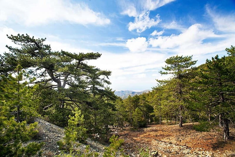 From Paphos: Caledonia Waterfalls Walking Tour with Lunch - Final thoughts: Who is this tour for?