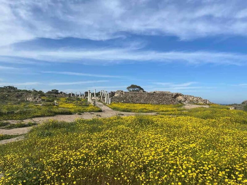 From Paphos: Famagusta, Salamis, and Varosha Walking Tour - A Full Breakdown of the Tour: From Paphos to the Heart of Cyprus