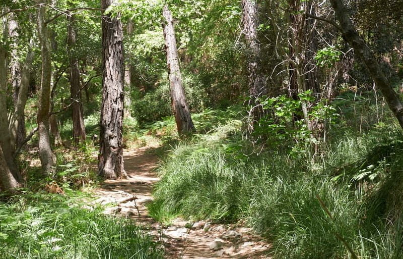 From Paphos: Grand Tour Jeep Safari - The Sum Up