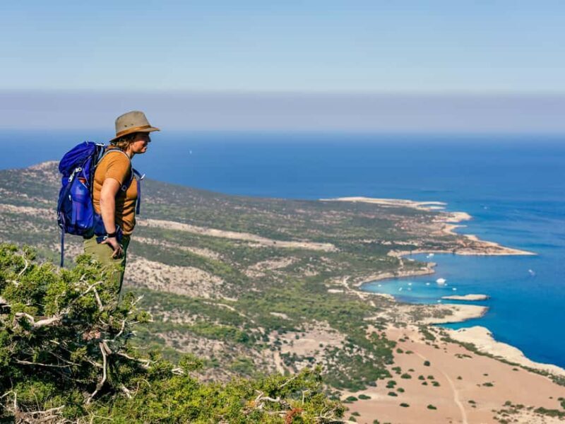 From Paphos or Limassol: Akamas National Park Jeep Safari - Who Is This Tour Best For?