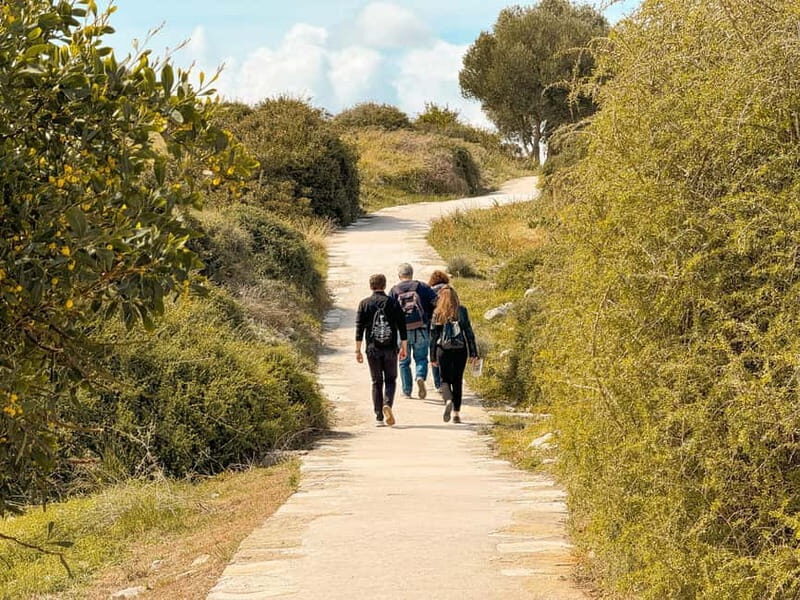 From Paphos: Trip to Limassol with Kourion & Kolossi Castle - The Experience: What Works and What Could Be Better