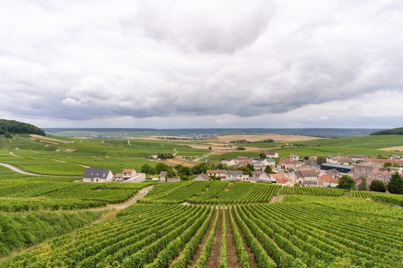From Paris: Day Trip to Champagne with 8 Tastings & Lunch - Transportation & Group Size