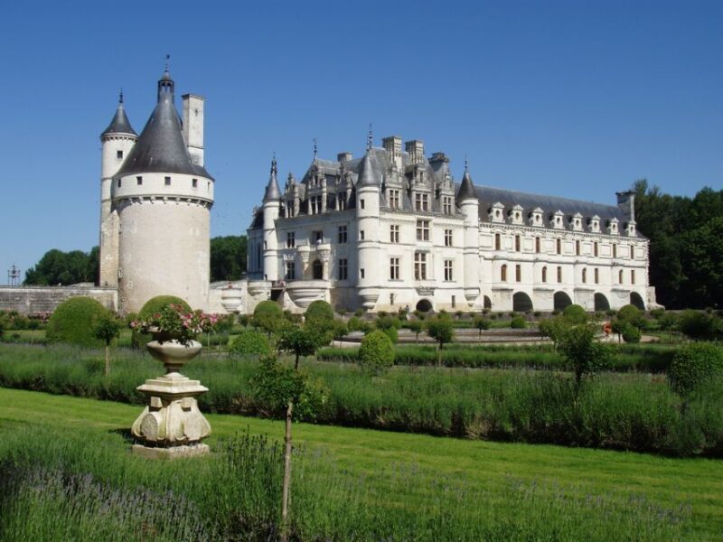From Paris: Loire Valley Castles Full-Day Tour with Lunch - Analyzing the Value
