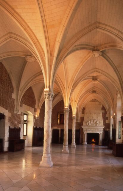 From Paris: Loire Valley Castles Full-Day Tour with Lunch - Who Would Love This Tour?