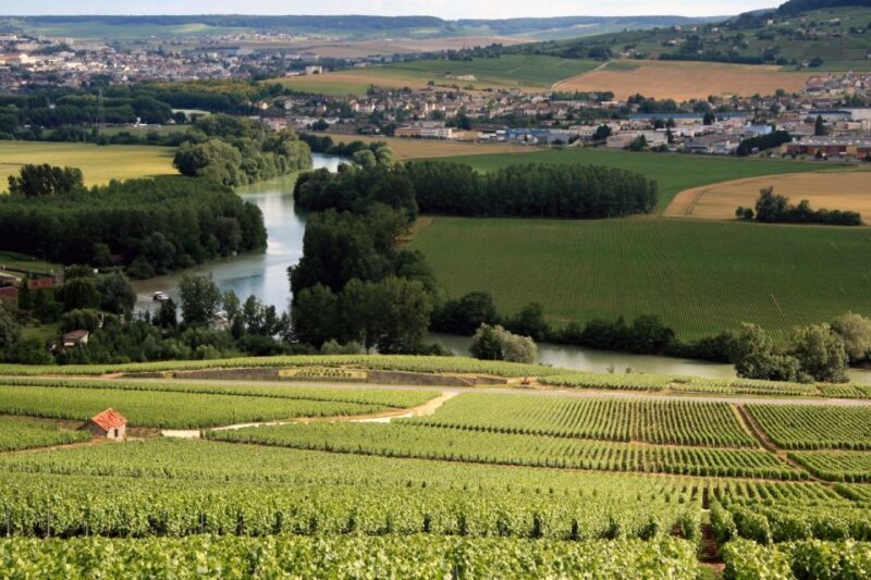 From Paris: Private Champagne Tour, Tastings at Moet&Chandon - Who Will Love This Tour?