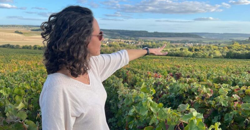 From Paris: Wine Day trip to SANCERRE w 10 Tastings & Lunch - A Detailed Look at the From Paris: Wine Day Trip to Sancerre with 10 Tastings & Lunch