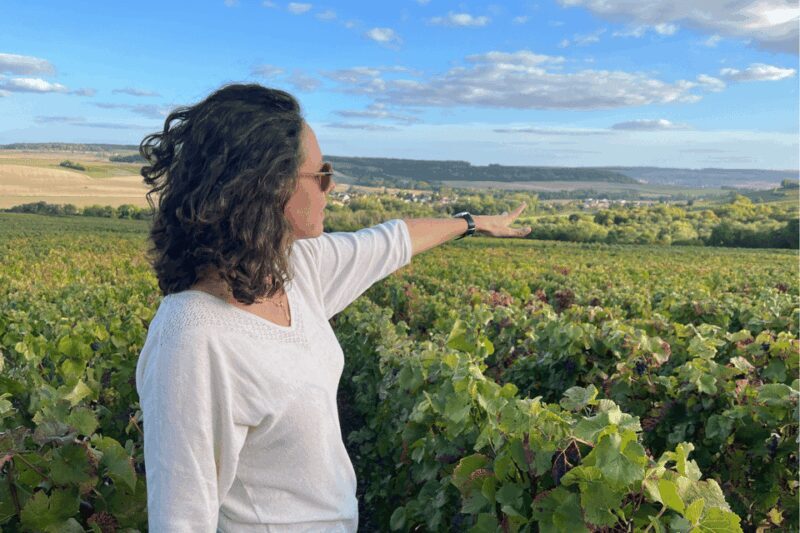 From Paris: Wine Day trip to SANCERRE w 10 Tastings & Lunch - Key Points