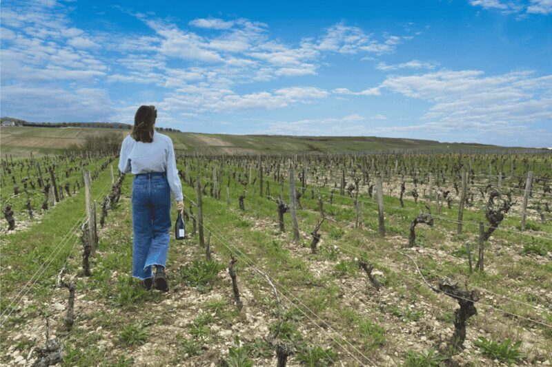 From Paris: Wine Day trip to SANCERRE w 10 Tastings & Lunch - Authentic Experiences as Described by Reviewers