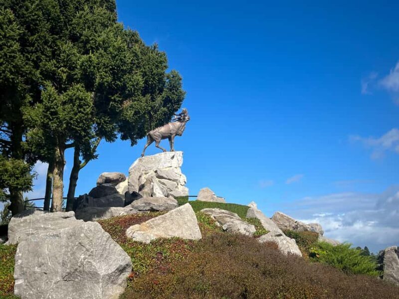 From Paris : WWI Somme Battlefields with Licensed Guide - Key Points