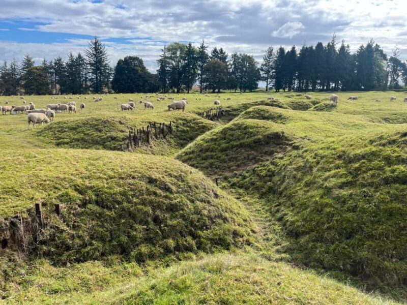 From Paris : WWI Somme Battlefields with Licensed Guide - What Previous Travelers Say