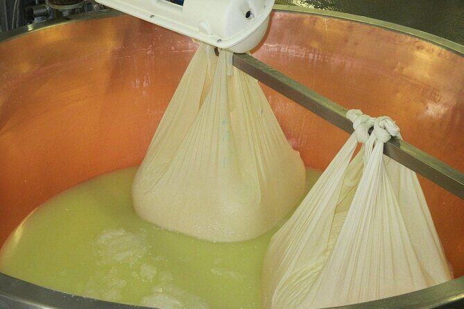 From Parma: Parmigiano,Prosciutto and winery Tour and tasting - Authenticity and Practical Insights