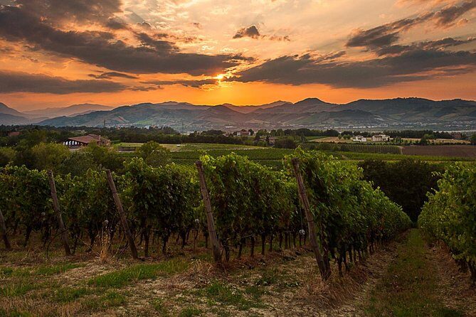 From Parma: Parmigiano,Prosciutto and winery Tour and tasting - Final Thoughts