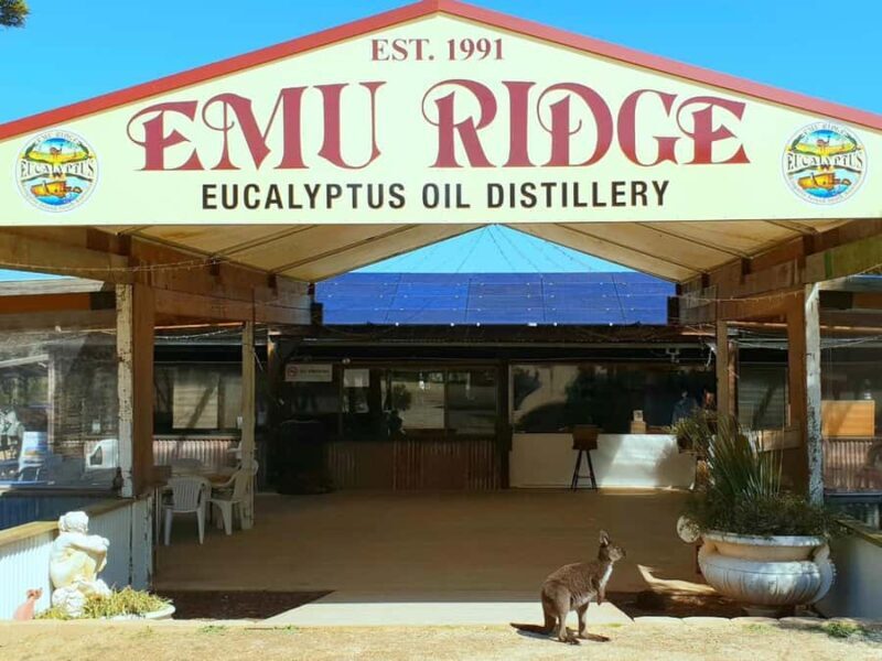 From Penneshaw: Kangaroo Island Sights and Wildlife Tour - Flinders Chase National Park and Admirals Arch