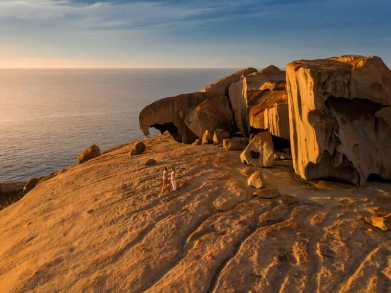 From Penneshaw: Kangaroo Island Sights and Wildlife Tour - Scenic Return to Penneshaw