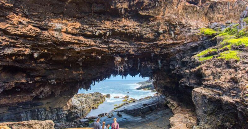 From Penneshaw: Kangaroo Island Sights and Wildlife Tour - Authentic Insights from Reviewers