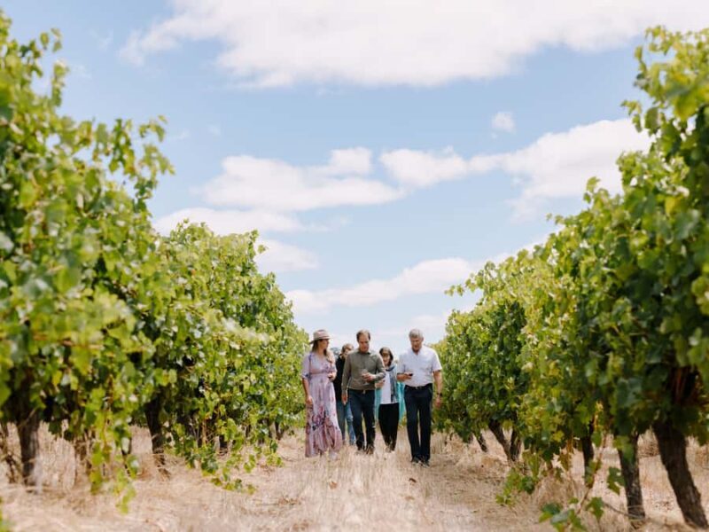 From Perth: 3-Day Margaret River Escape - Practical Details: Transport, Cost, and More