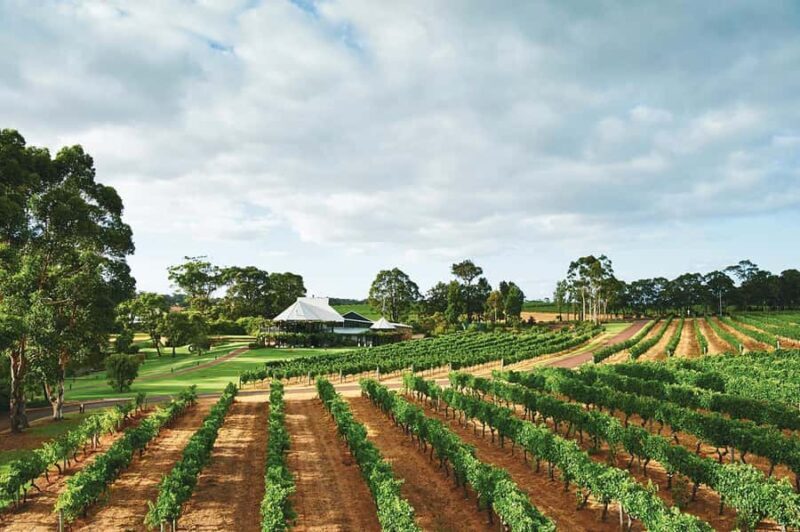 From Perth: Full-Day Margaret River Wine Tastings & Lunch - Final Recommendation