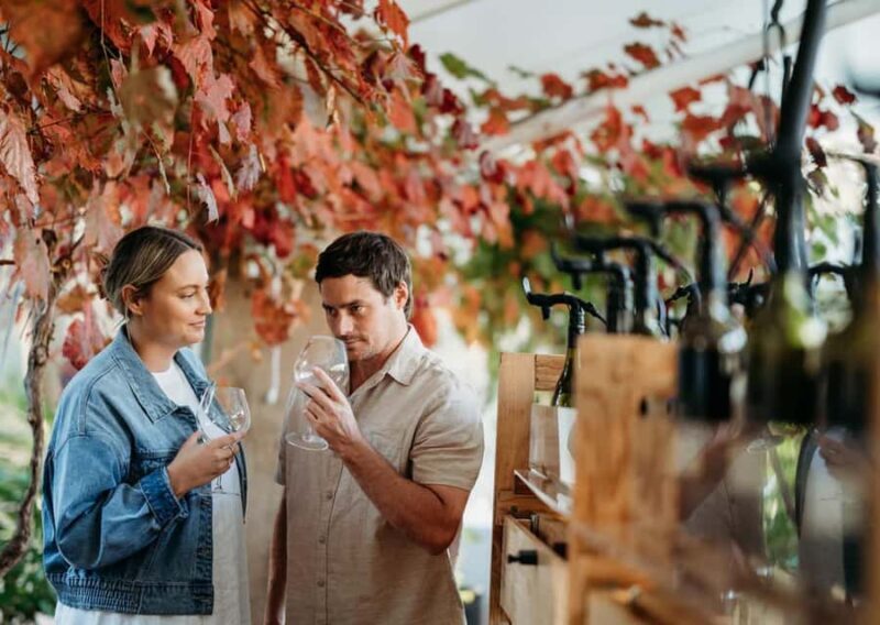 From Perth: Margaret River Wine Tour & Wildlife Cruise - An In-Depth Look at the Tour Experience