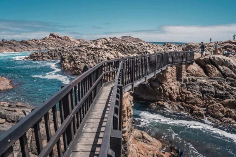 From Perth: Margaret River Wine Tour & Wildlife Cruise - Authentic Insights from Reviews