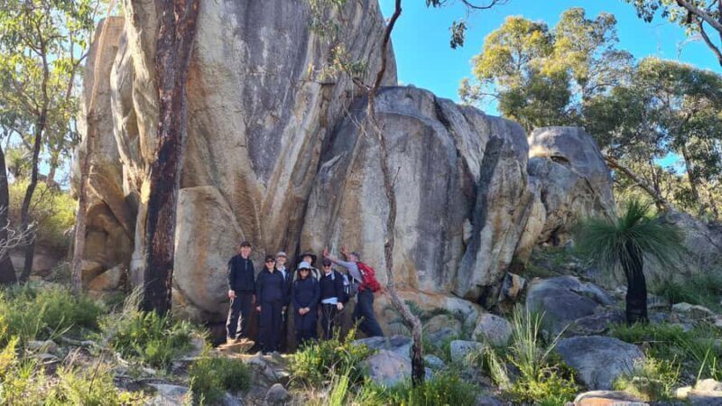 From Perth or Baldivis: Perth Hills Hike, Wine & Dine Tour - Key Points