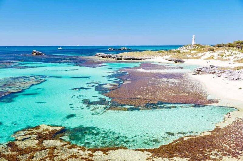 From Perth or Fremantle: Rottnest Island Ferry and Bus Tour - Key Points