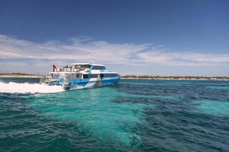 From Perth or Fremantle: Rottnest Island Ferry and Bus Tour - Introduction to the Tour Experience