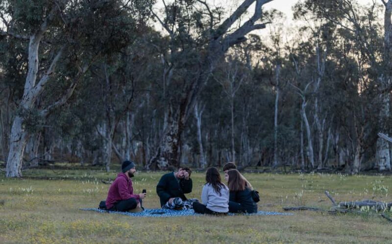 From Perth: Perth Wildlife Tour Under the Stars with Dinner - Final Thoughts