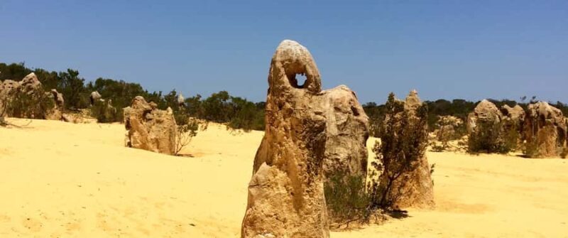 From Perth: Pinnacles Tour, Early Start, Avoid Crowds & Heat - The Ultimate Guide to the Pinnacles Tour from Perth