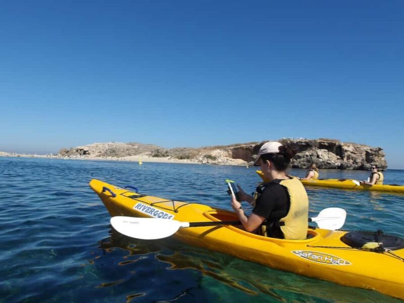 From Perth: Rockingham Seal & Penguin Islands Sea Kayak Tour - What to Expect on the Day